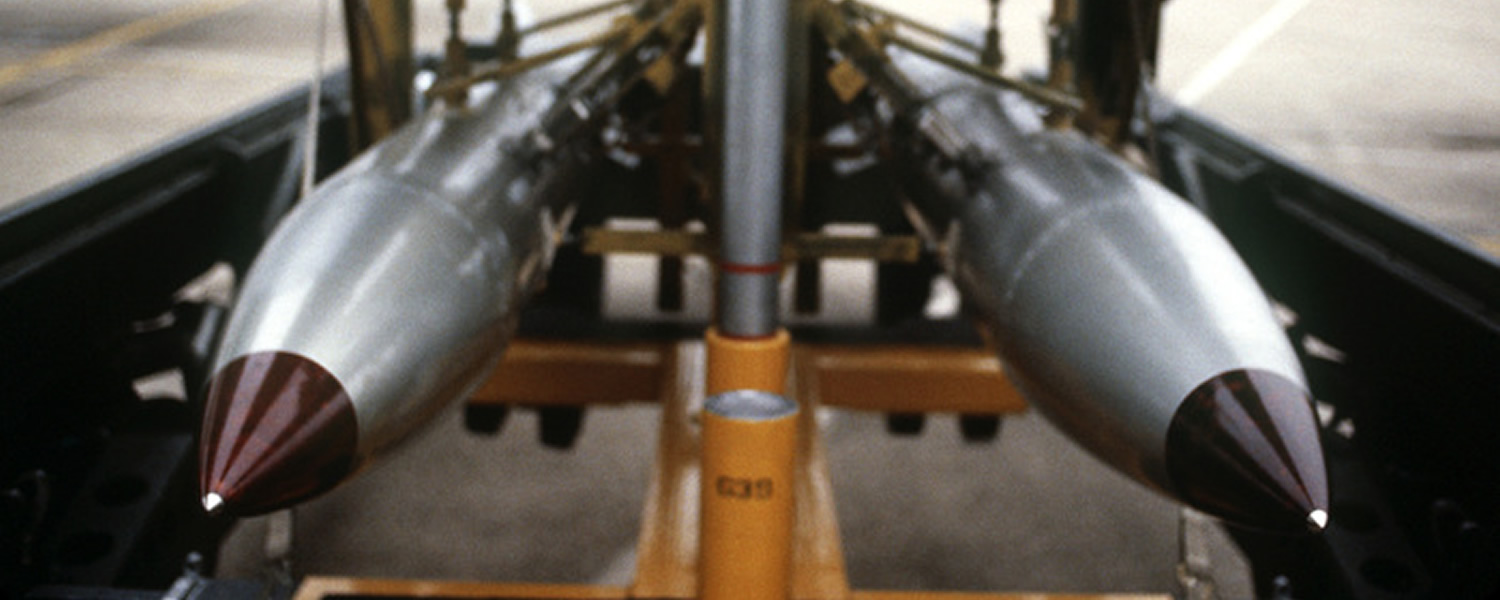 Nuclear Disarmament Frequently Asked Questions | IPNDV